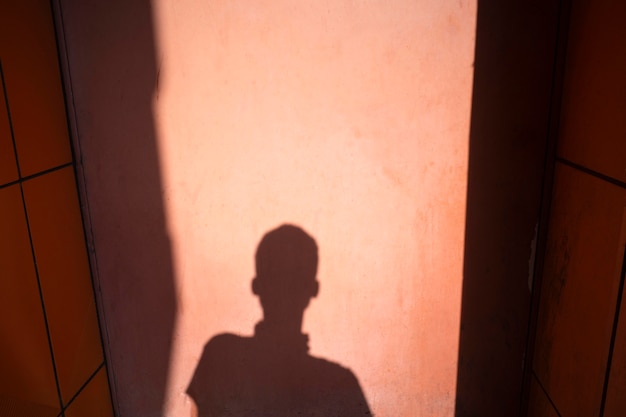 Descubre el fascinante origen de Shadow ️‍♂️ ¿Sabías que su creación se ...