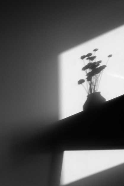 Descubre el fascinante origen de Shadow ️‍♂️ ¿Sabías que su creación se ...