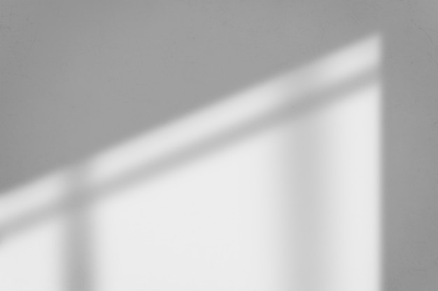 Descubre el fascinante origen de Shadow ️‍♂️ ¿Sabías que su creación se ...